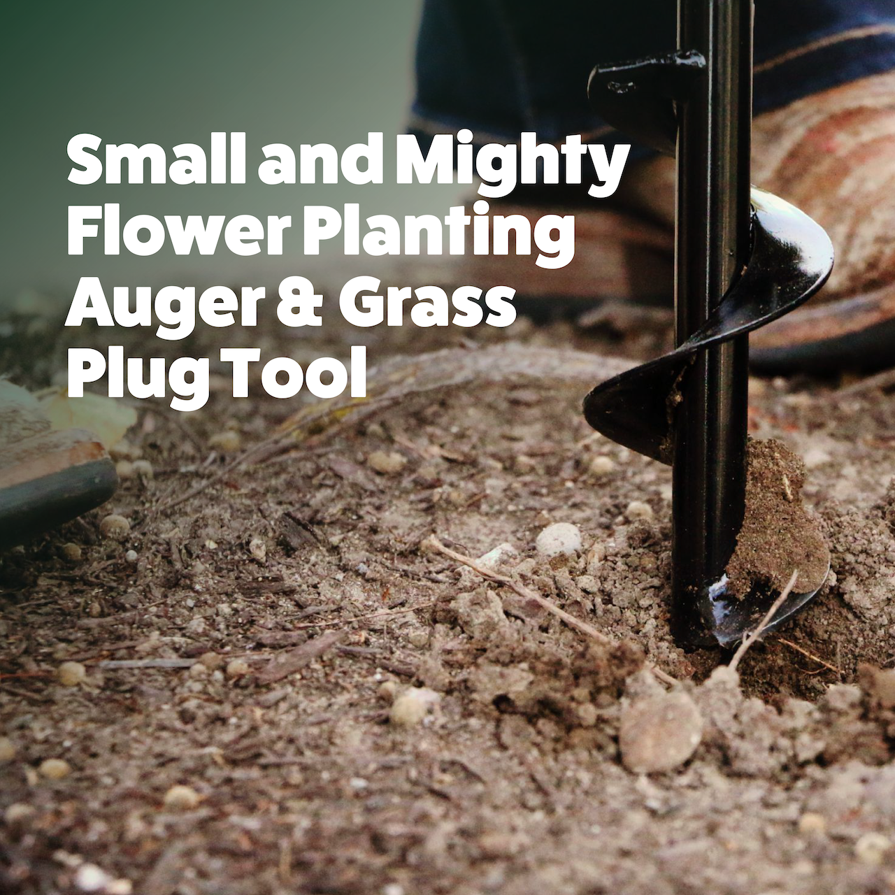 2-Inch Auger Bit for Planting Flowers | Power Planter