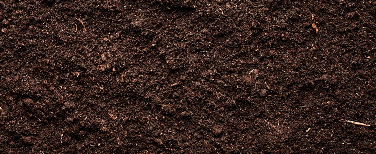 Planting Augers: Drill Bits for Planting | Power Planter